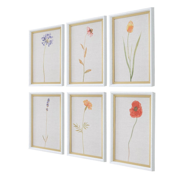 Uttermost Wild Flourish Framed Floral Prints Set/6 - Scenario Home