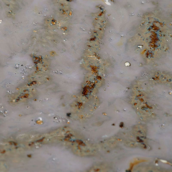 Crustacean Ceramic Decorative Bowl, Large - Scenario Home