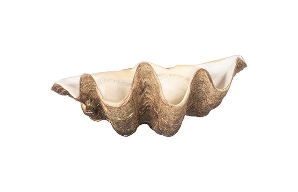Cast Clam Shell Bowl, Faux Finish, SM - Scenario Home